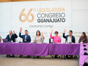 Trabaja PAN propuesta integral para fortalecer los derechos de las ...